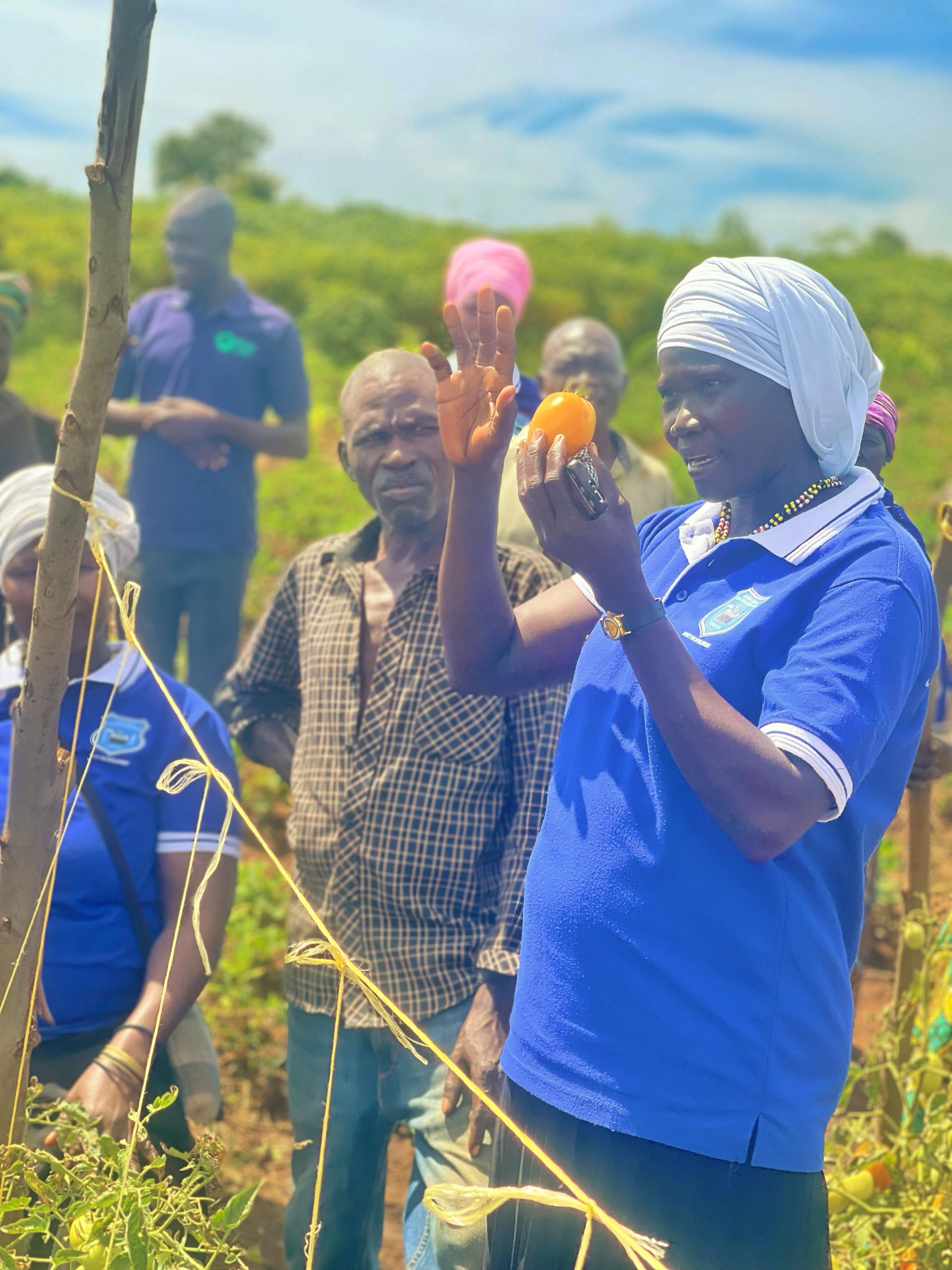 Farmer field day: A moment of Knowledge sharing in transforming ...
